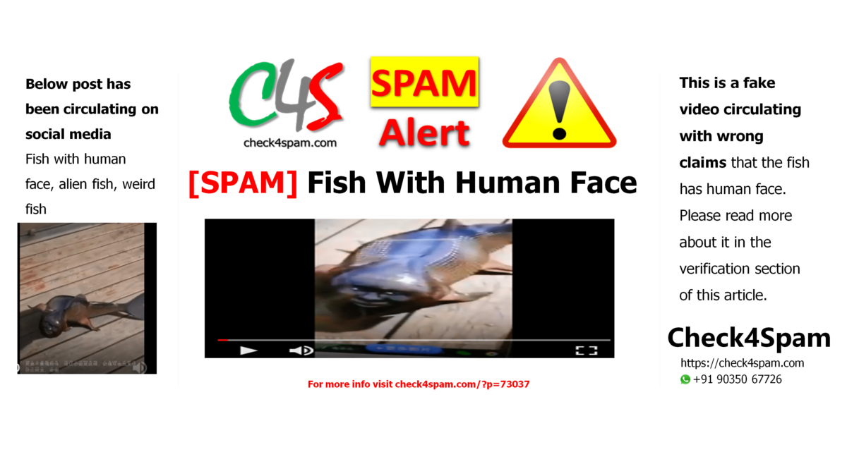[SPAM] Fish With Human Face - Check4Spam