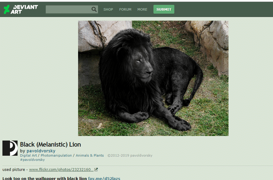 [SPAM] The Incredibly Rare Black Lion - Check4Spam