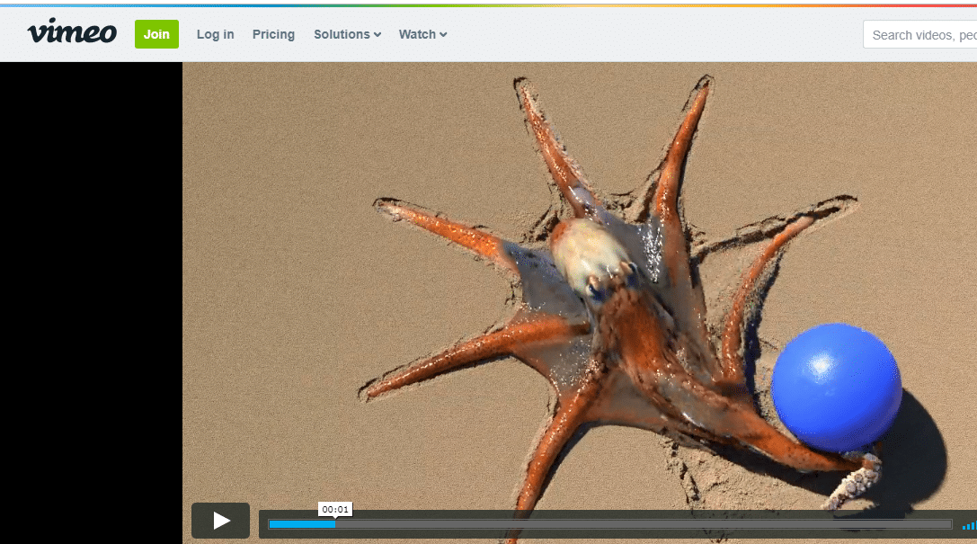 [SPAM] An Octopus Playing With A Ball - Check4Spam